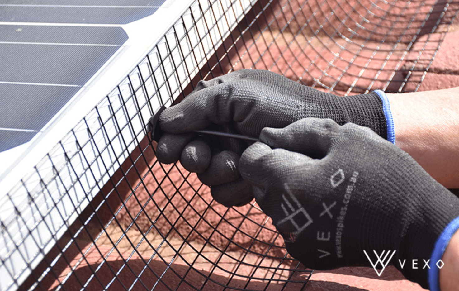 Bird Mesh Solutions for Solar Panels in Sydney | Sydney Air